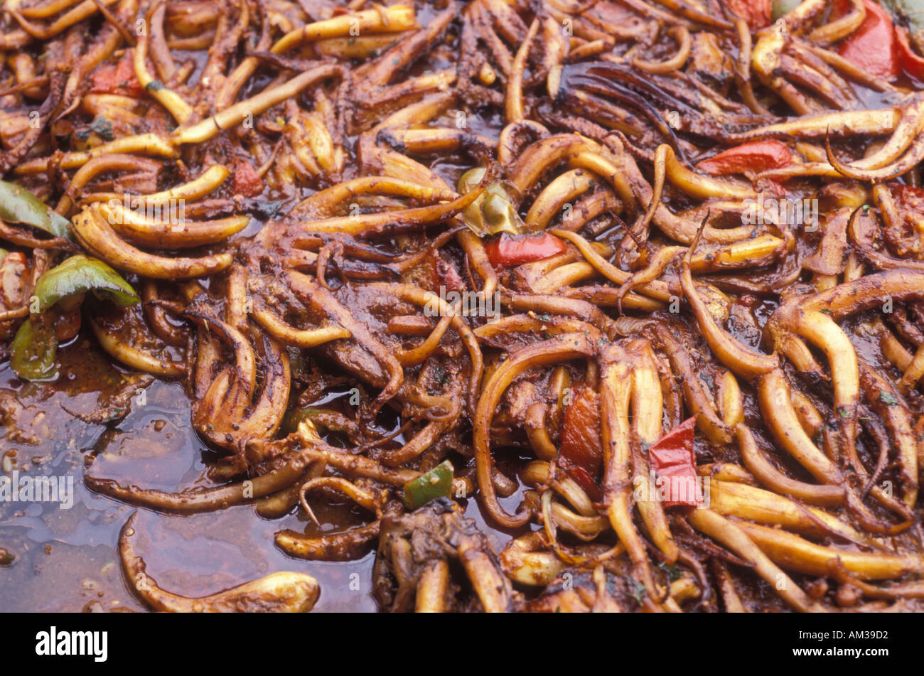 Calamari fish sea edible squid hi-res stock photography and images - Alamy