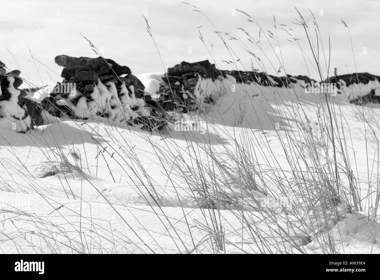 winter scene wilderness wild cold winter snow frost freeze frozen ice ...