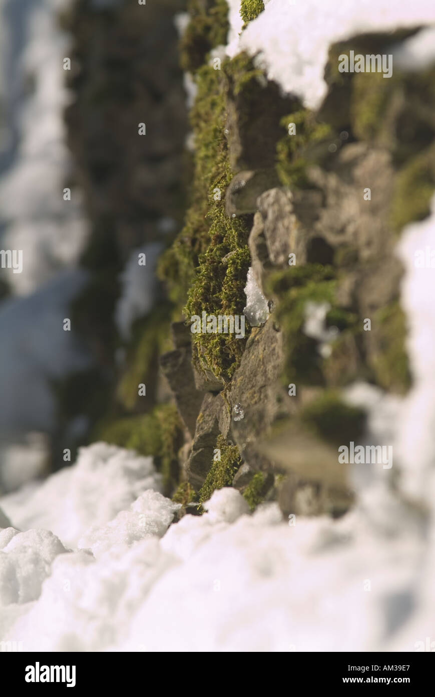 stone wall wilderness wild cold winter snow frost freeze frozen ice ...