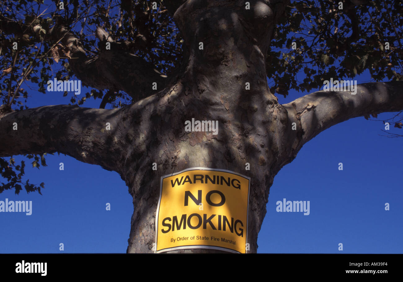 Tree with No Smoking sign Stock Photo - Alamy