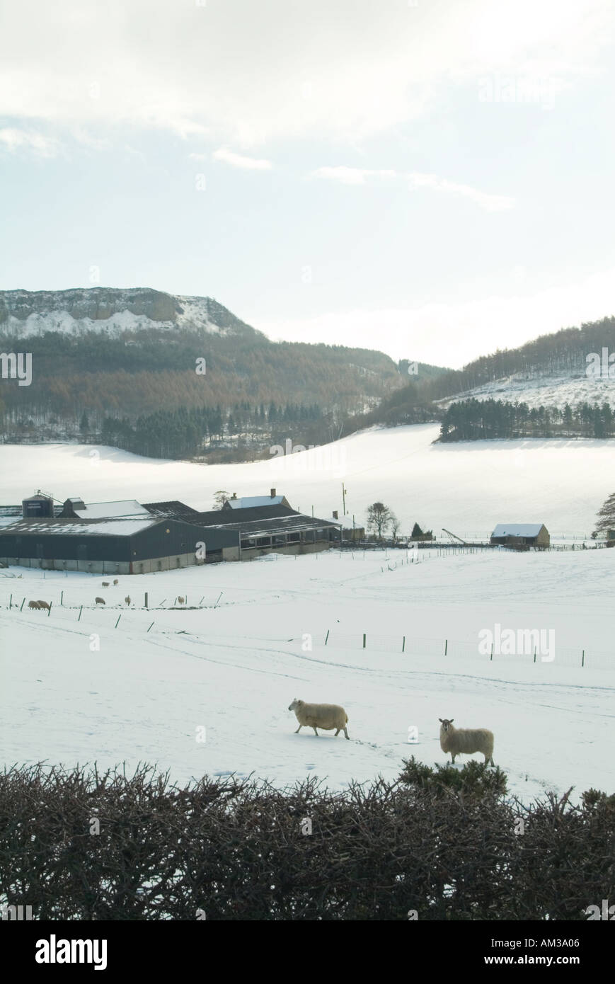 rural farm in the shadow of hill wilderness wild cold winter snow frost ...
