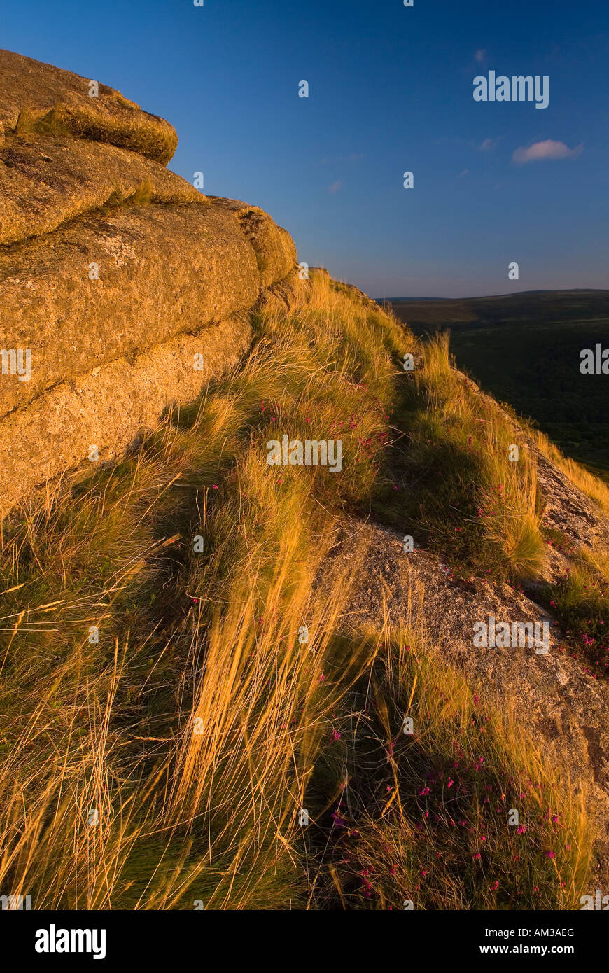 Dartmoor National Park, Devon, England, UK Stock Photo - Alamy
