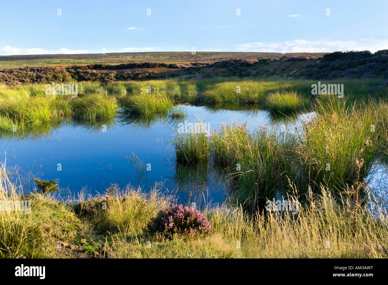 Peat bog uk hi-res stock photography and images - Alamy