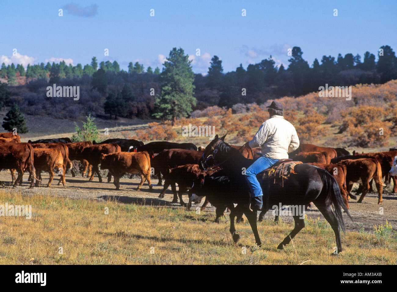 Scout road hi-res stock photography and images - Alamy
