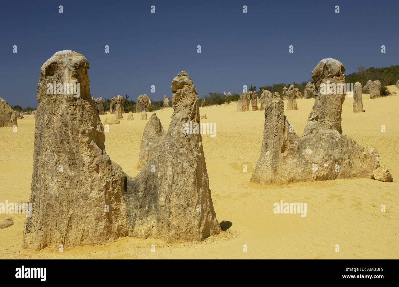 The Pinnacles Desert in Nambung National Park Western Australia Stock ...