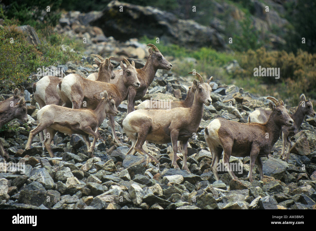 Denver co hi-res stock photography and images - Alamy
