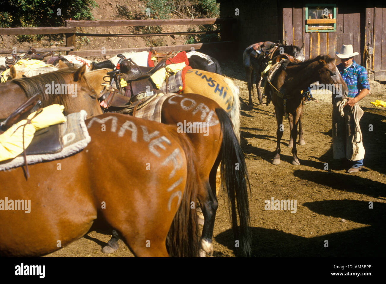 Dude ranch colorado hi-res stock photography and images - Alamy