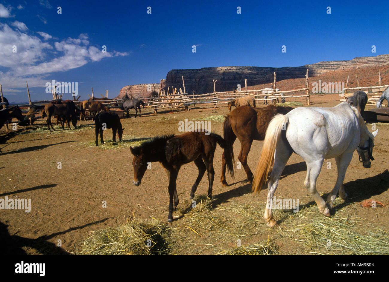 Lee ranch hi-res stock photography and images - Alamy