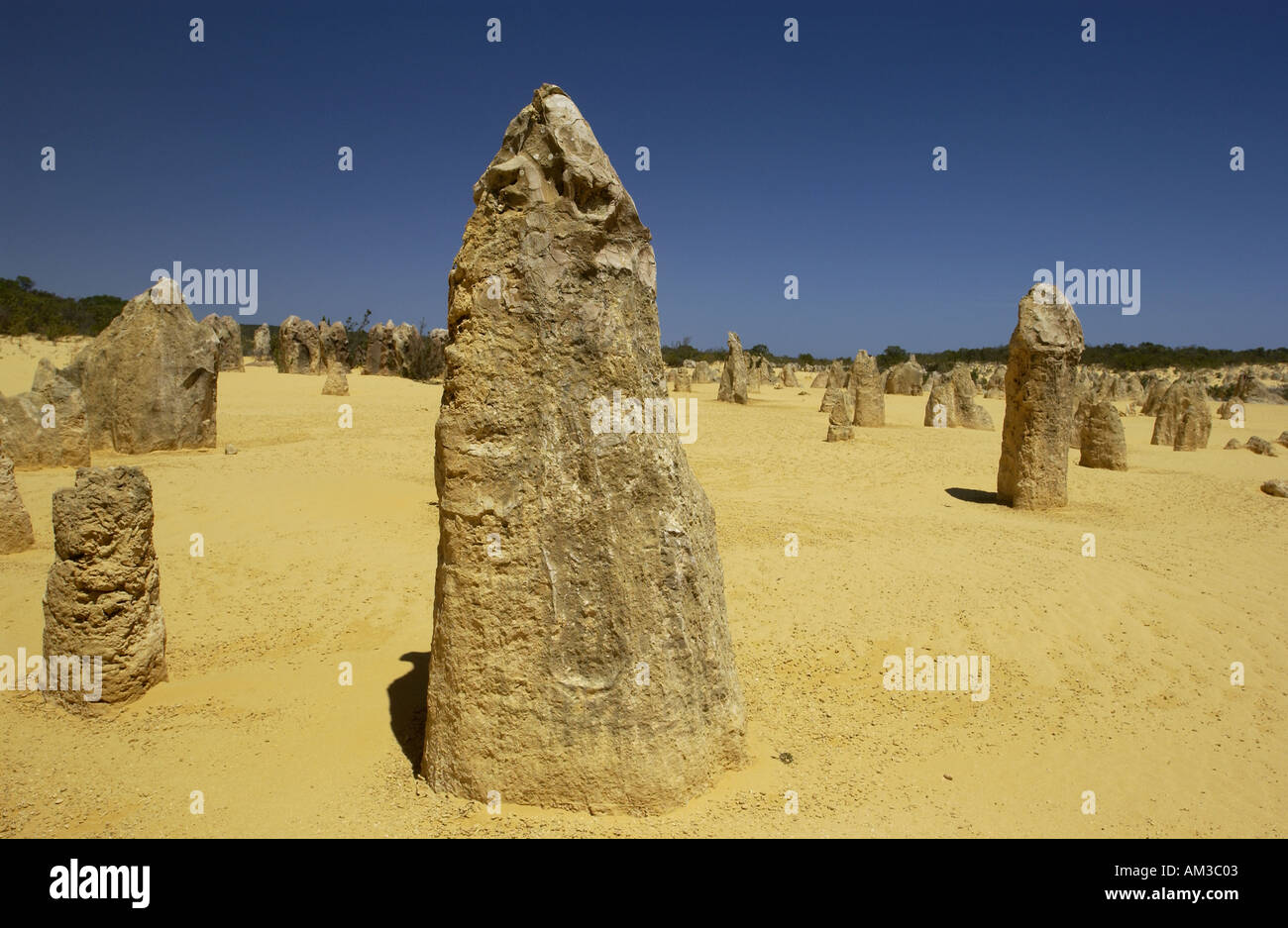 The Pinnacles Desert in Nambung National Park in Western Australia ...