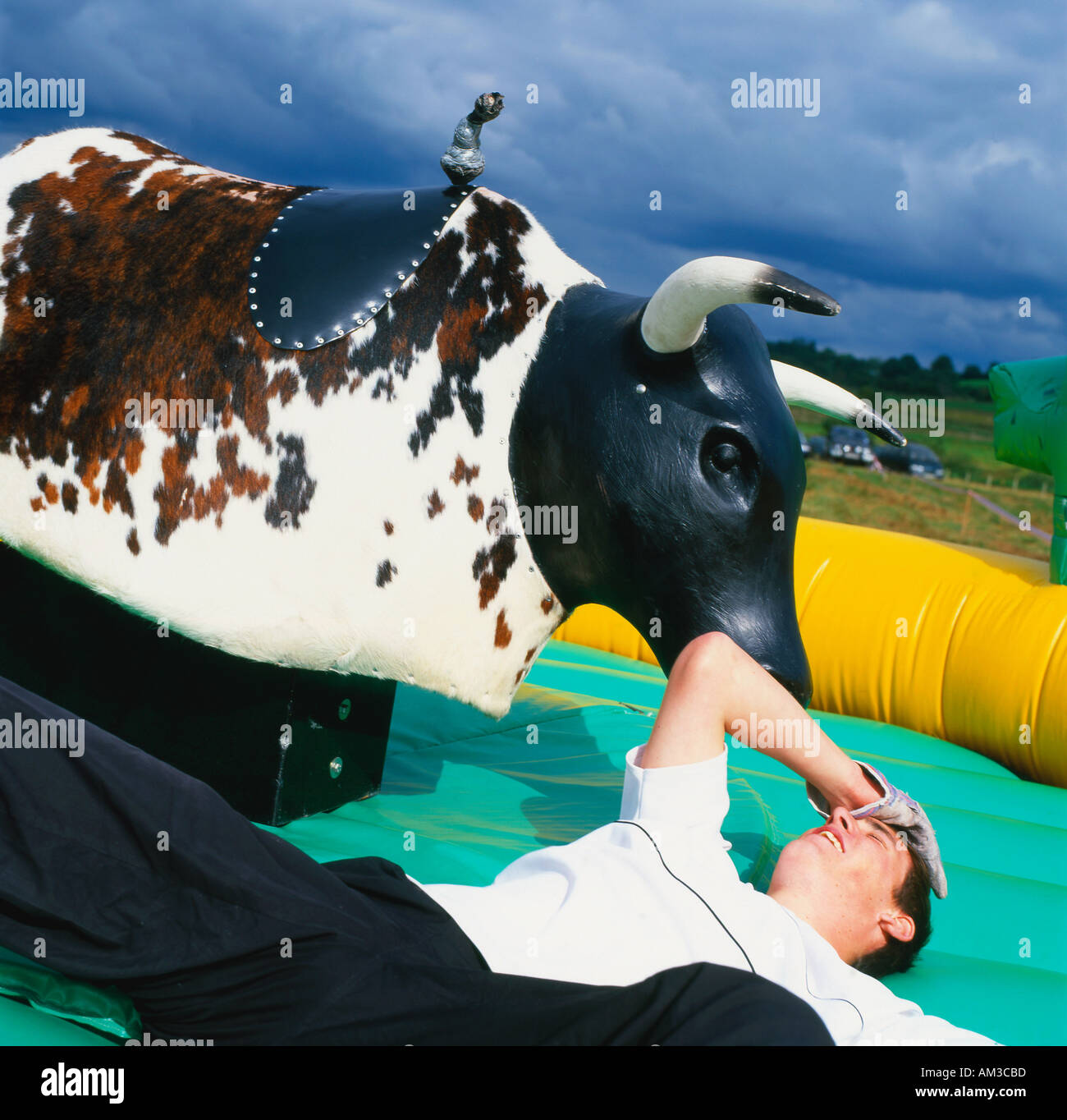 Fake bulls hi-res stock photography and images - Alamy