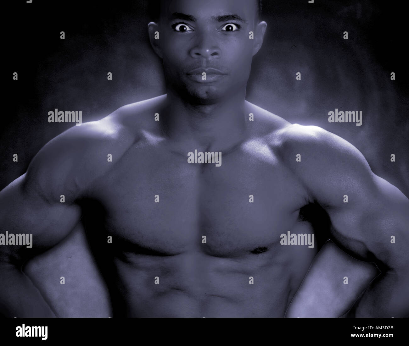 Body Builder Portrait High Resolution Stock Photography and Images - Alamy