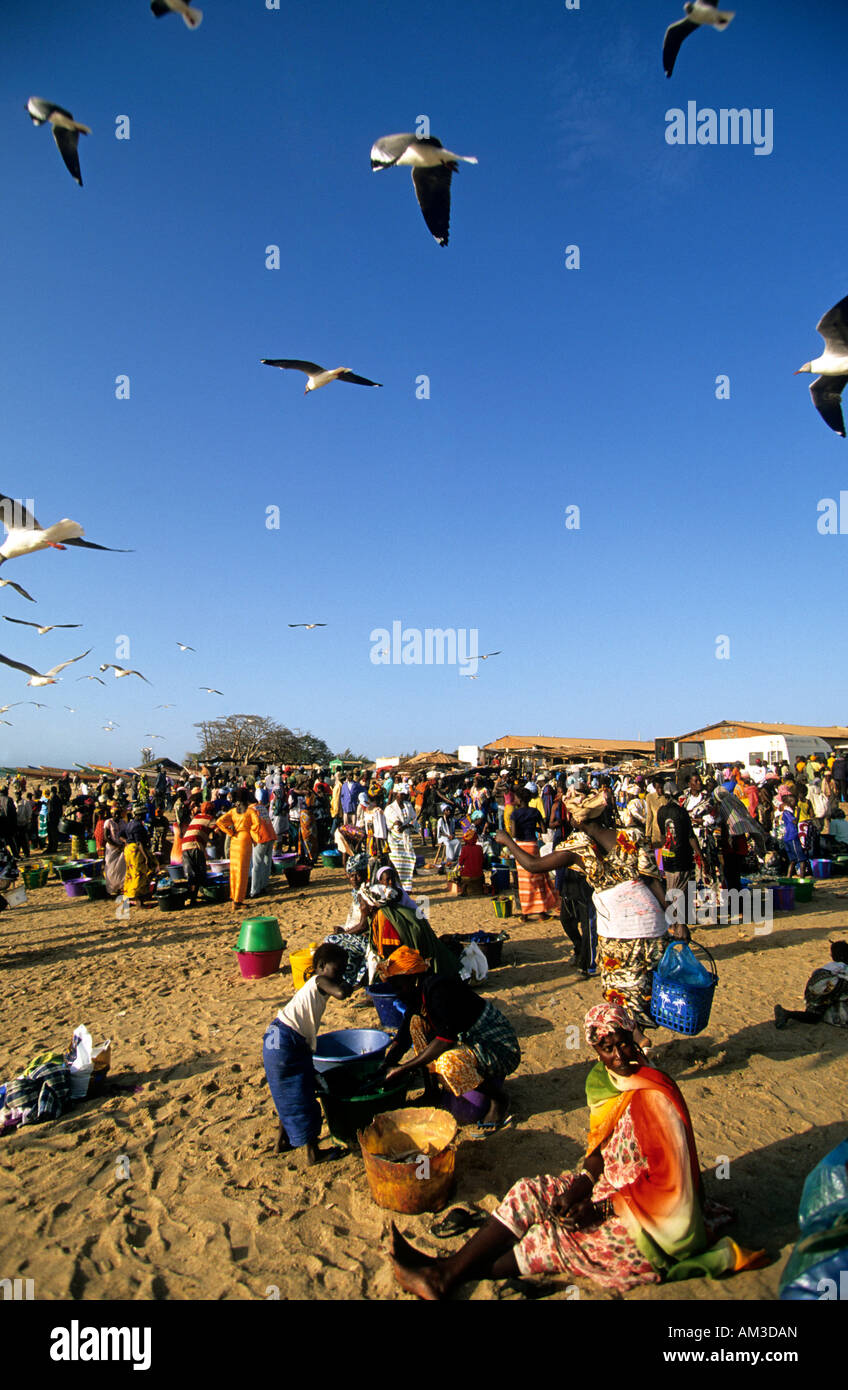 west africa gambia a crowded fish market on the beach Stock Photo - Alamy