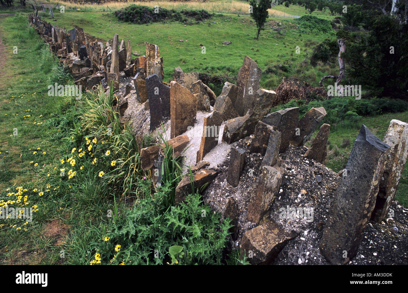 Convict built bridge called Spiky Bridge, Tasmania Stock Photo - Alamy