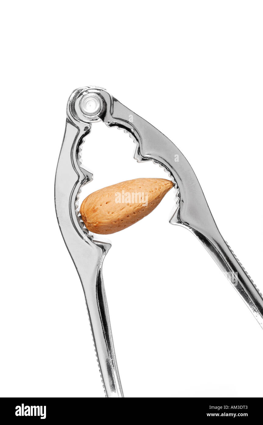 Almond in nut cracker Stock Photo - Alamy