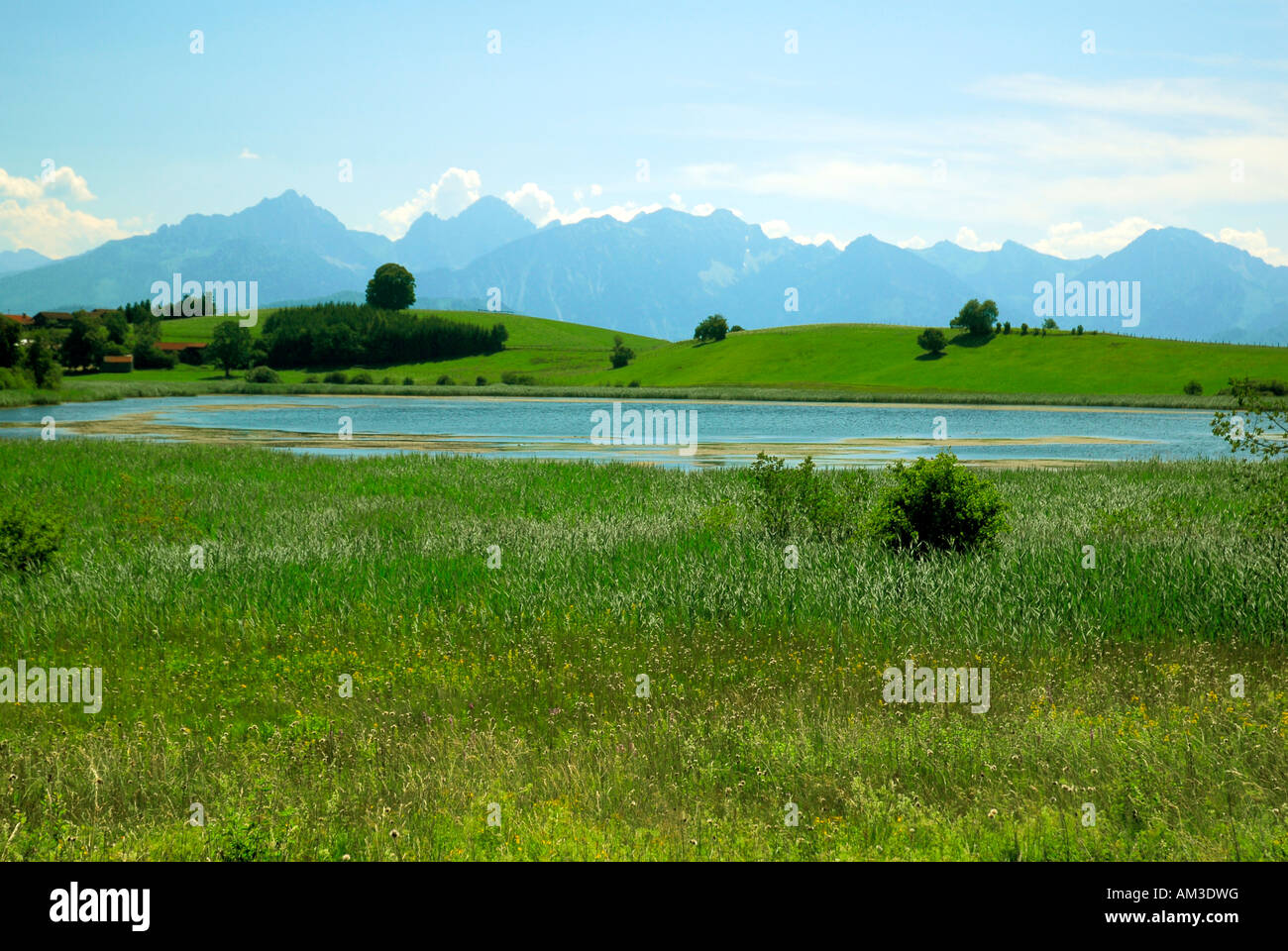 Lake, marshland, Allgaeu, Bavaria, Germany Stock Photo - Alamy