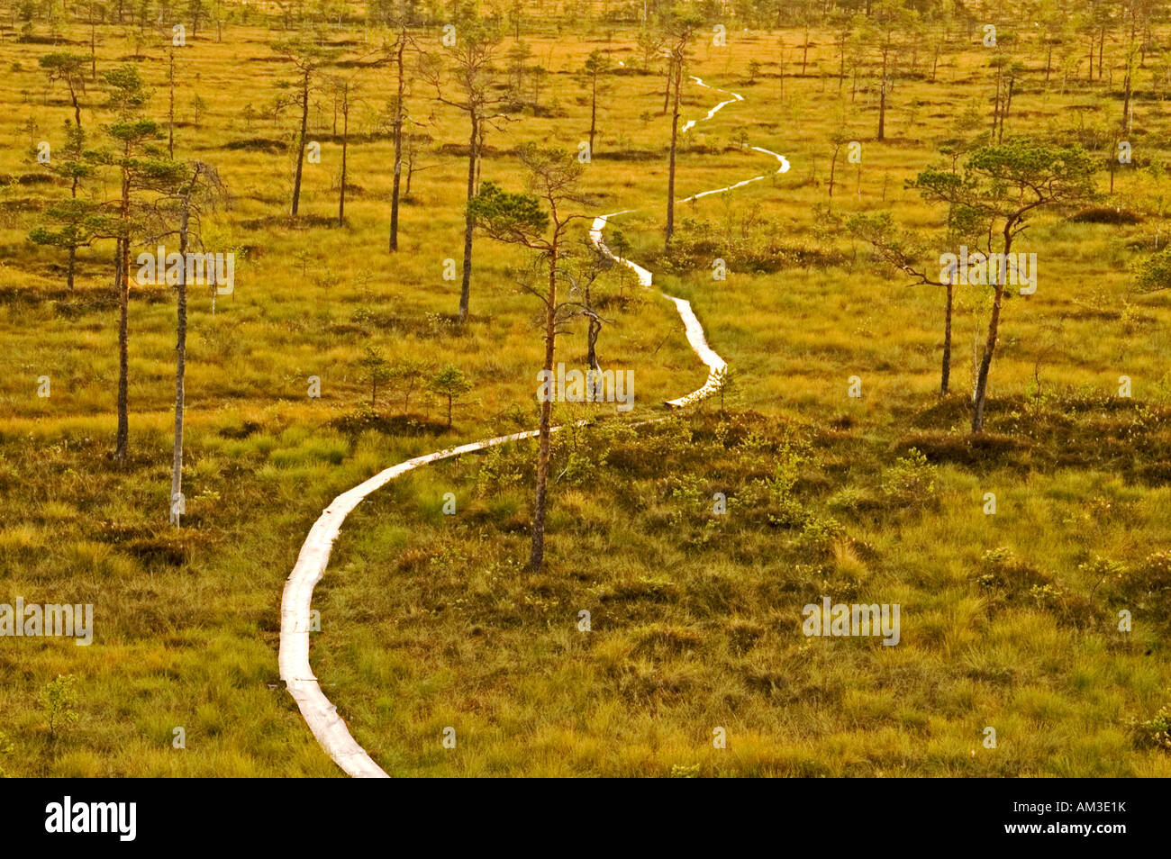 Typical moor landscape near Paernu Estonia Baltic States Stock Photo ...