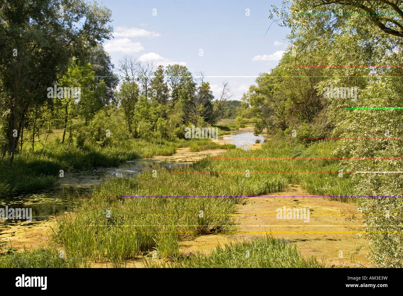 Nature in latvia hi-res stock photography and images - Alamy