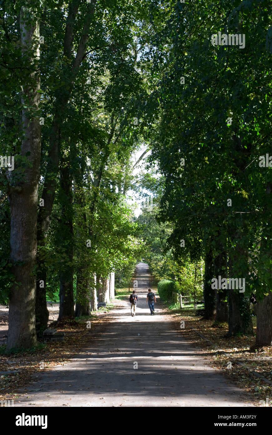 19 year old british student hi-res stock photography and images - Alamy