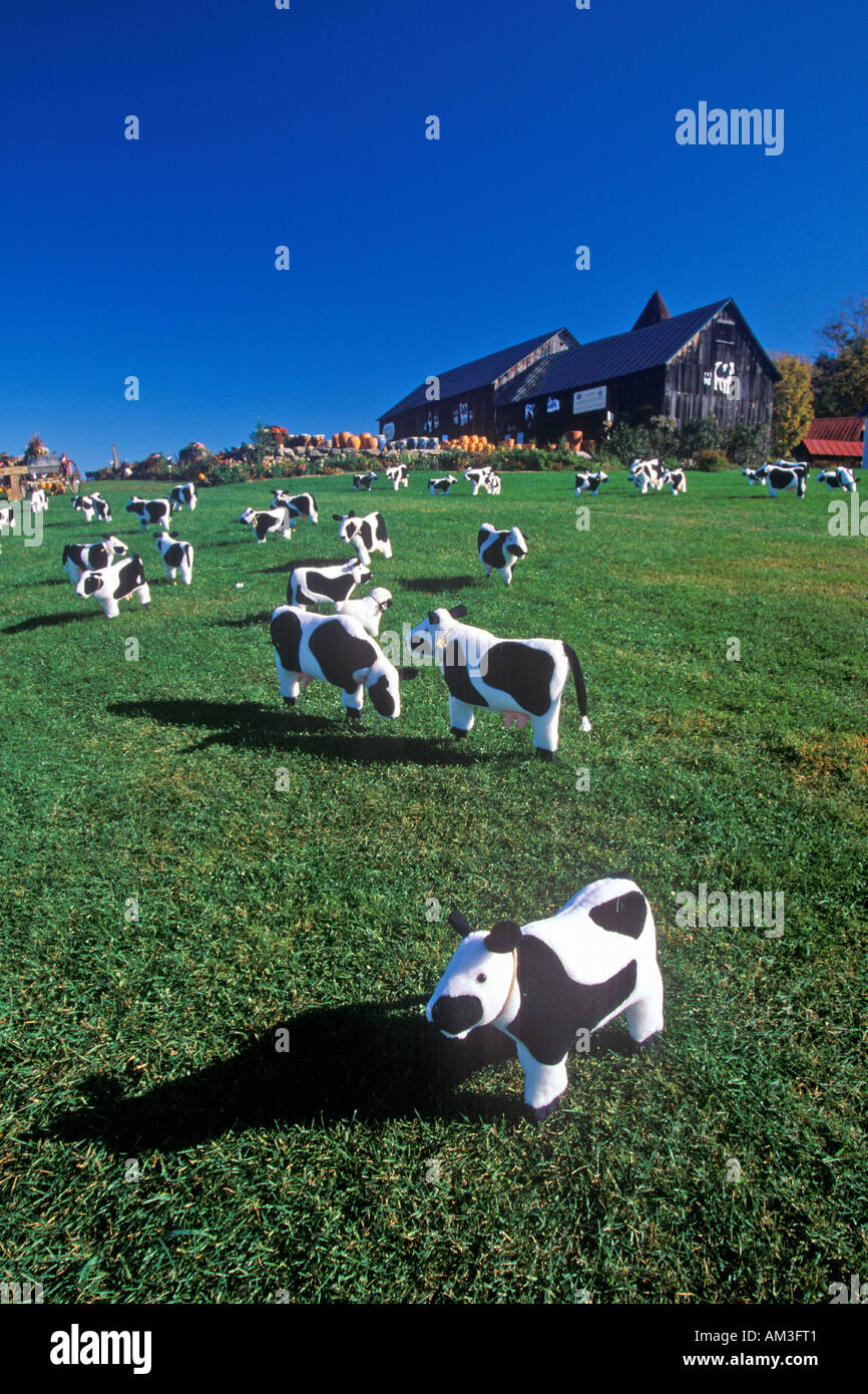 Cattle statuary grazing on lawn Woodstock VT Stock Photo - Alamy