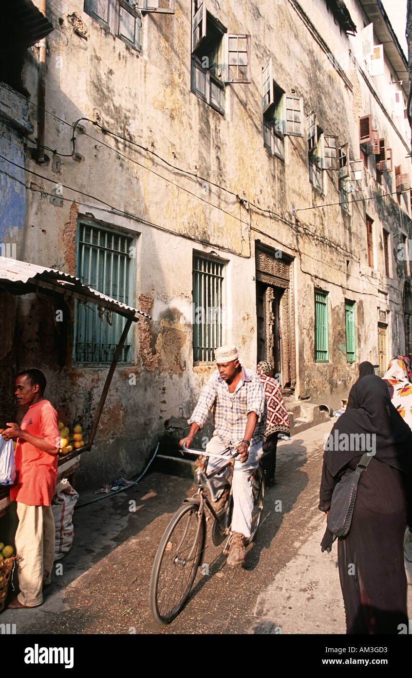 Old Stone Town is a warren of narrow streets Historic trading town ...
