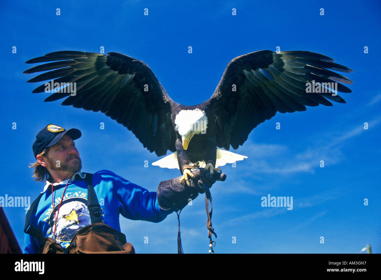 Pigeon keeper hi-res stock photography and images - Alamy