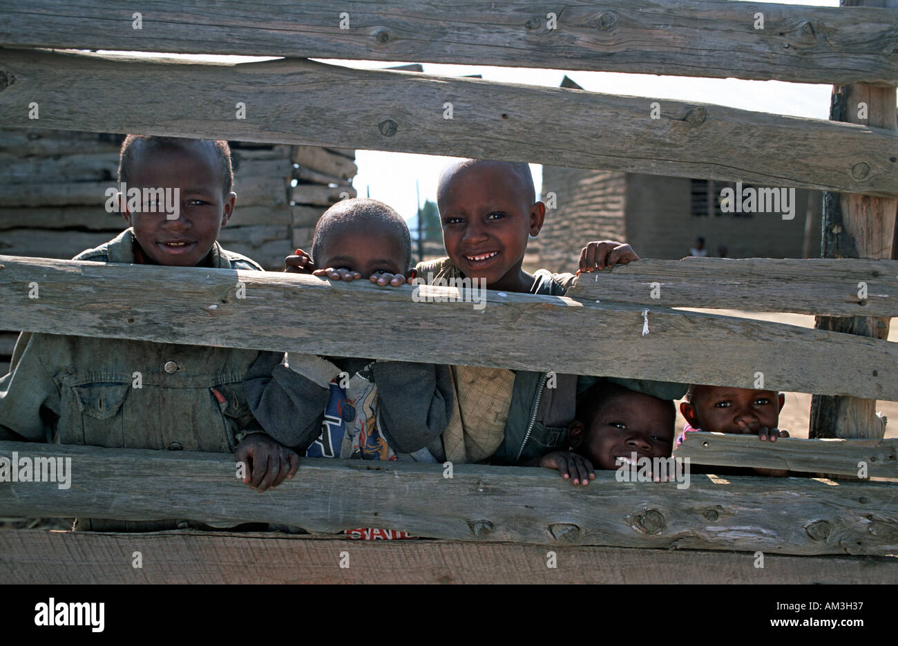 Masai boys behind a wooden fence North of Arusha en route to southern ...