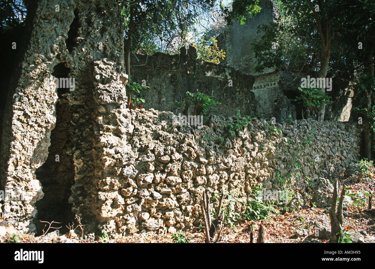 Abandoned overgrown and crumbling buildings form part of the ruins of ...