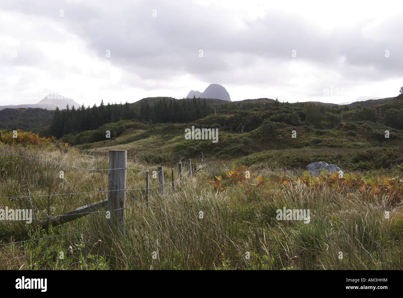 Distant view of the mountains Canisp and Suilven Stock Photo - Alamy