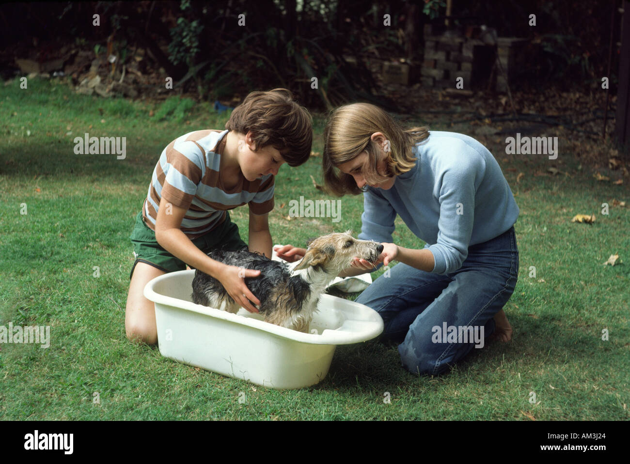 Family washing dog hi-res stock photography and images - Alamy