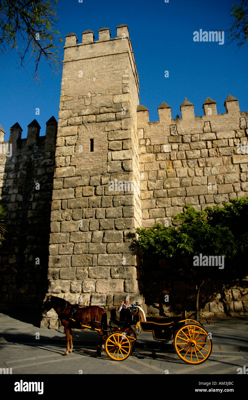 Horsedrawn cart waiting by stone wall in the Alcazar of Seville ...