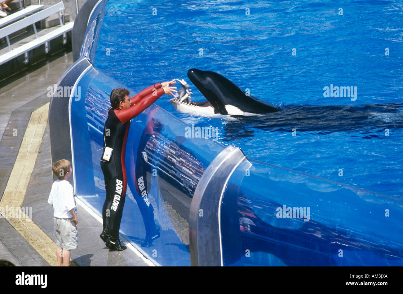 Shamu stadium hi-res stock photography and images - Alamy
