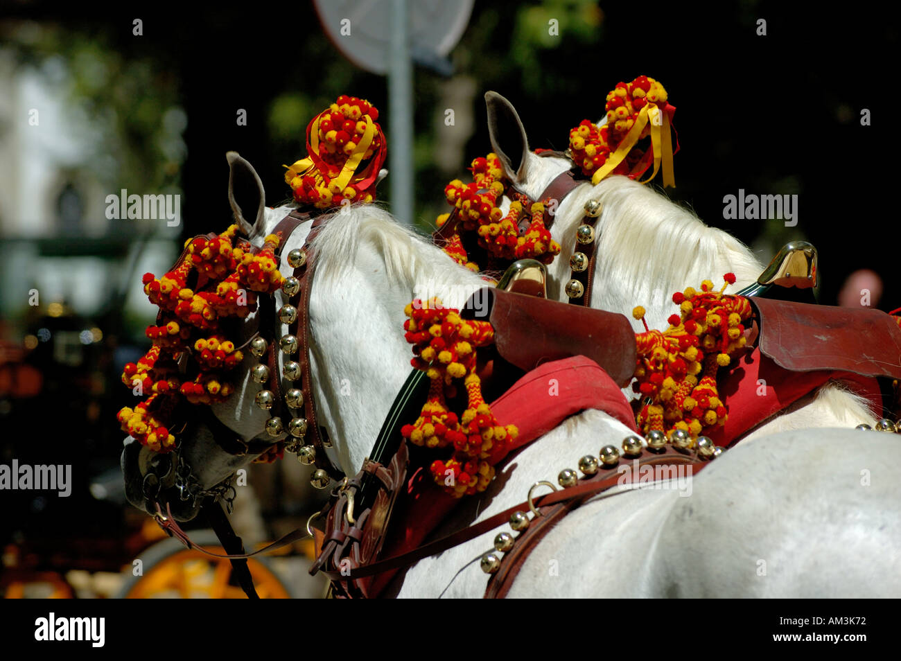 Horse drawn barouche barouches hi-res stock photography and images - Alamy