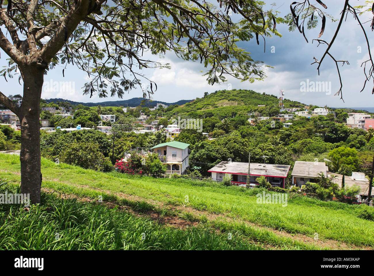 Village of Isabel Segunda, Vieques island, Puerto Rico Stock Photo - Alamy
