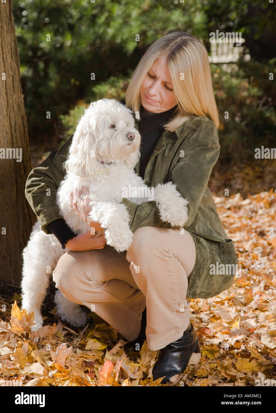 Woman with her pet dog Stock Photo - Alamy