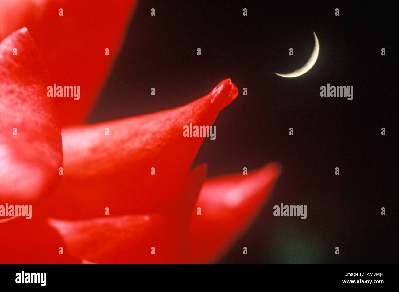 Crescent moon color hi-res stock photography and images - Alamy