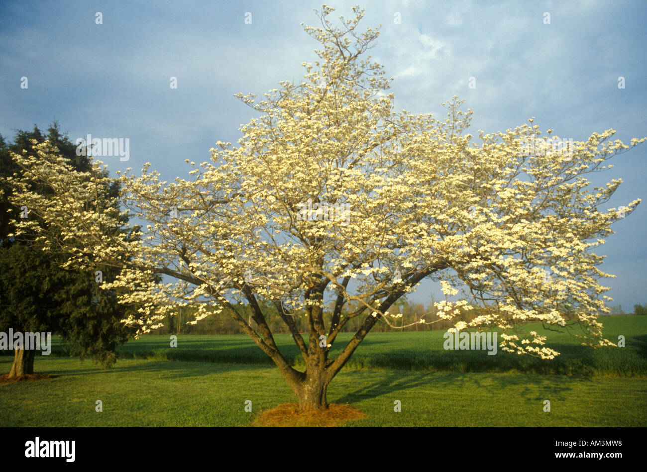 Jamestown spring hi-res stock photography and images - Alamy