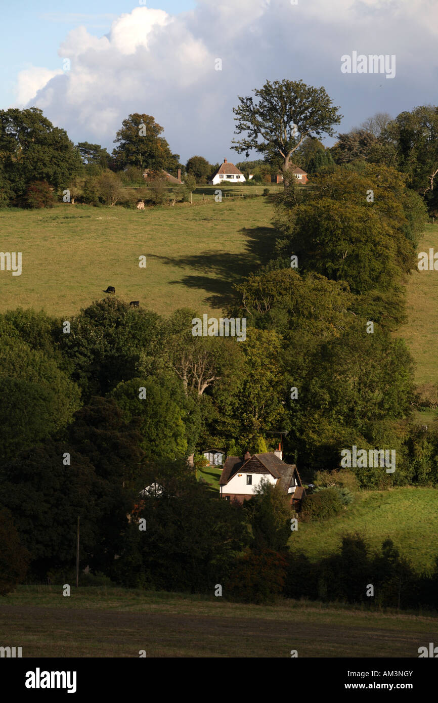 Chipstead High Resolution Stock Photography and Images - Alamy