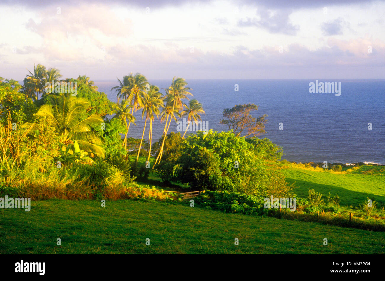 Landscape of road to Hana Maui HI Stock Photo - Alamy