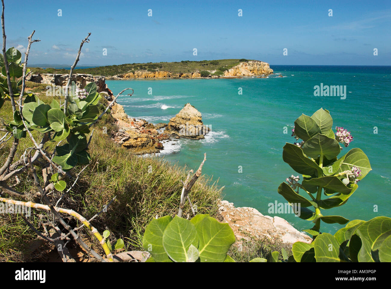 Coast near Cabo Rojo lighthouse Puerto Rico Stock Photo - Alamy
