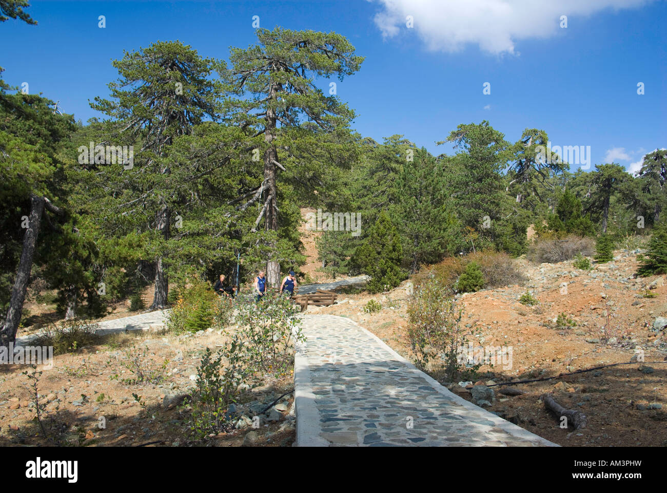 Troodos mountains, Cyprus Stock Photo - Alamy