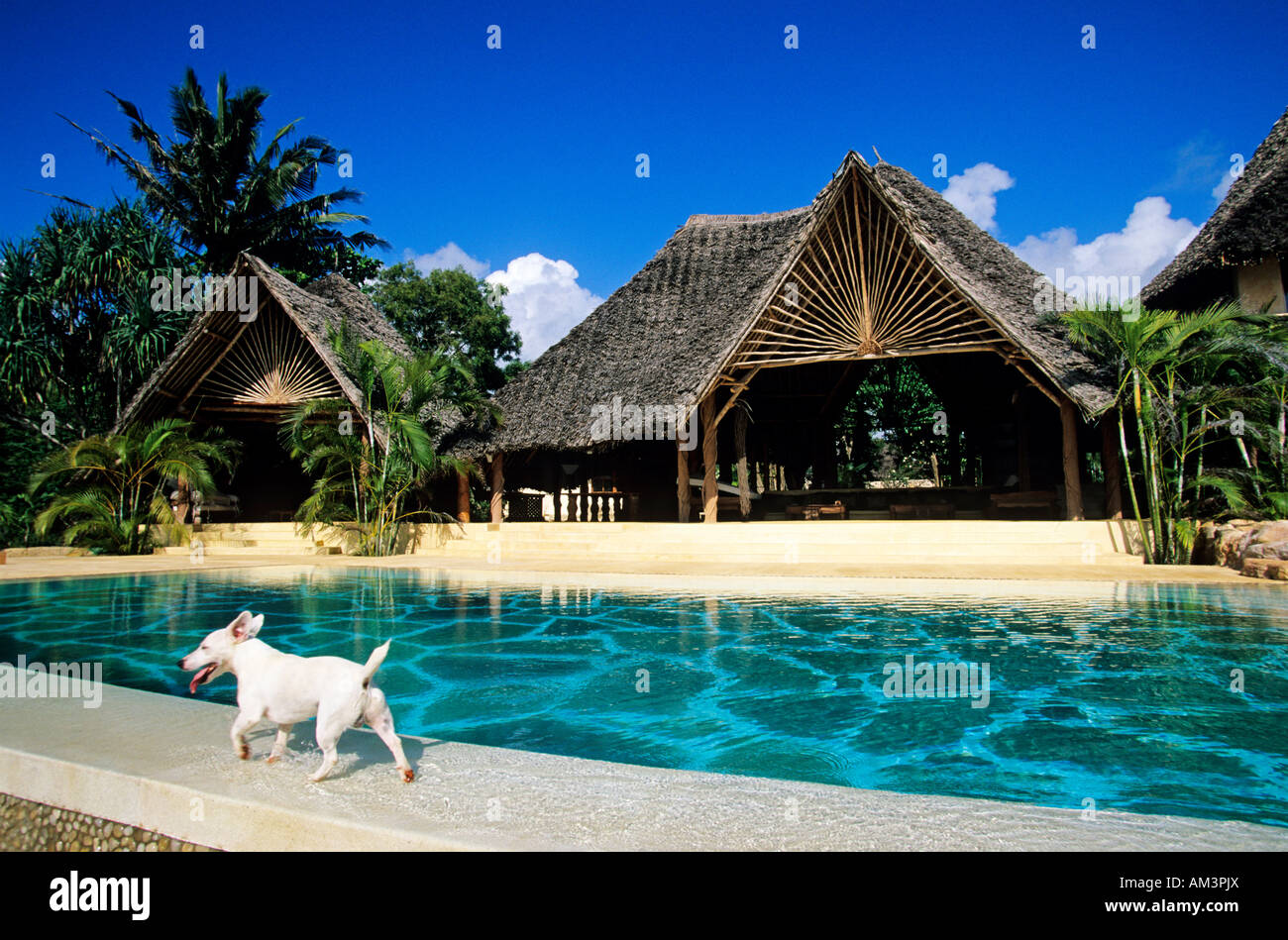 Kenya, Coastal Kenya, Ukunda, Alfajiri Villas, luxury hotel, 5 star ...