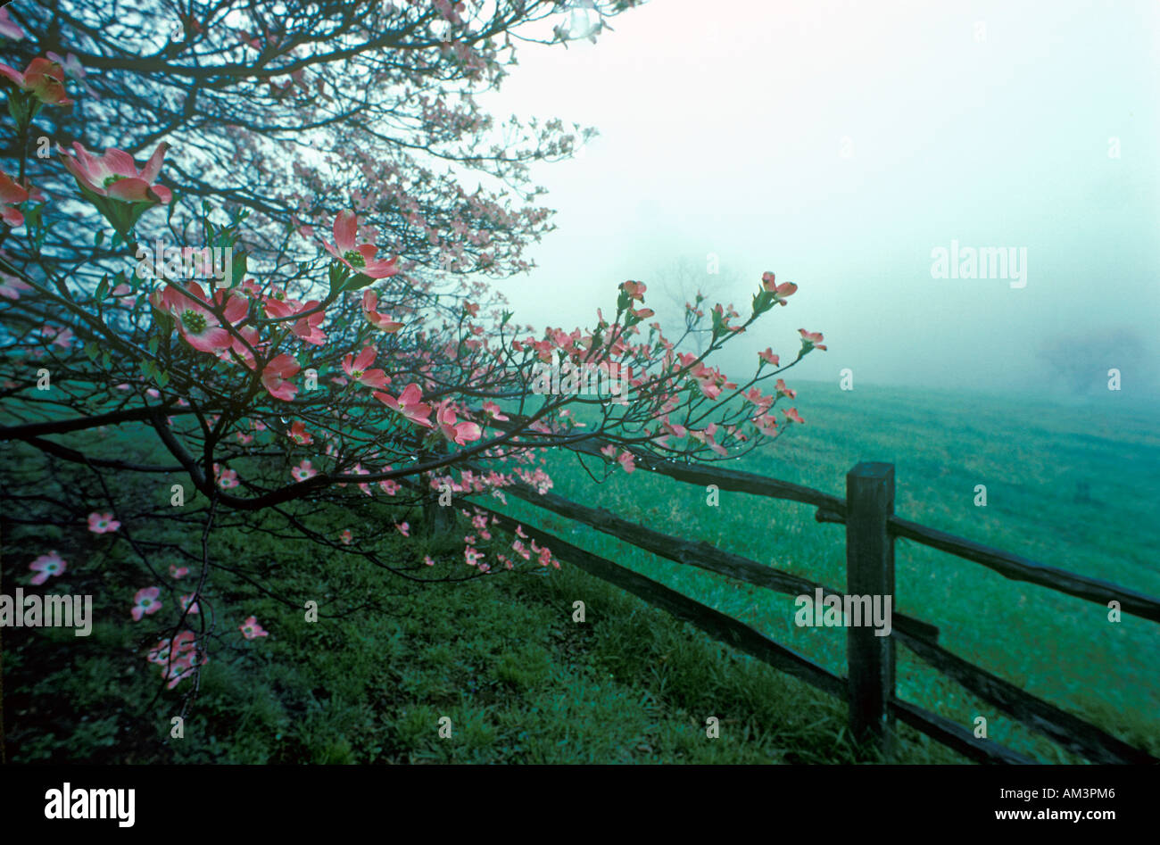 Split rail fence hi-res stock photography and images - Alamy