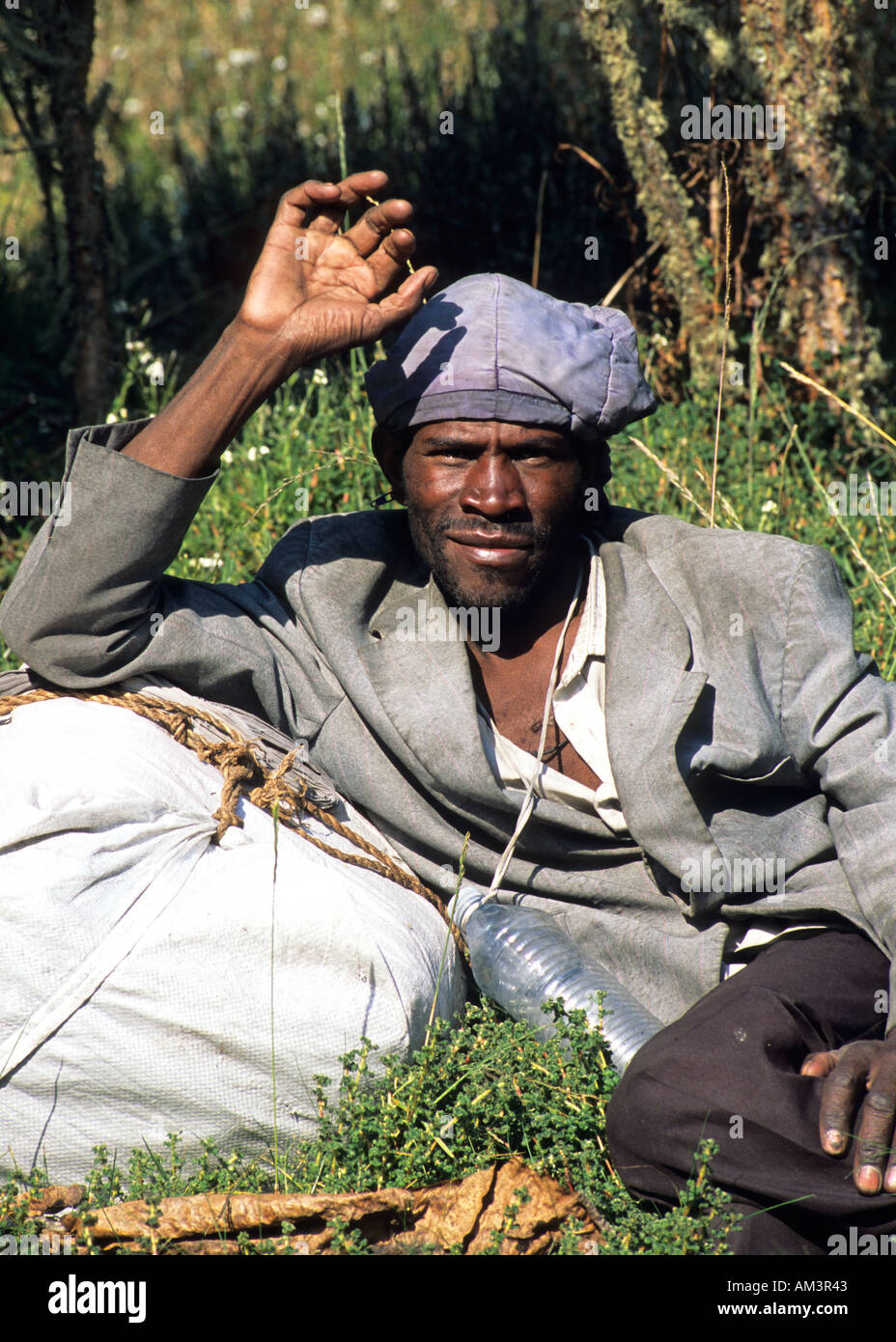 African porter hi-res stock photography and images - Alamy