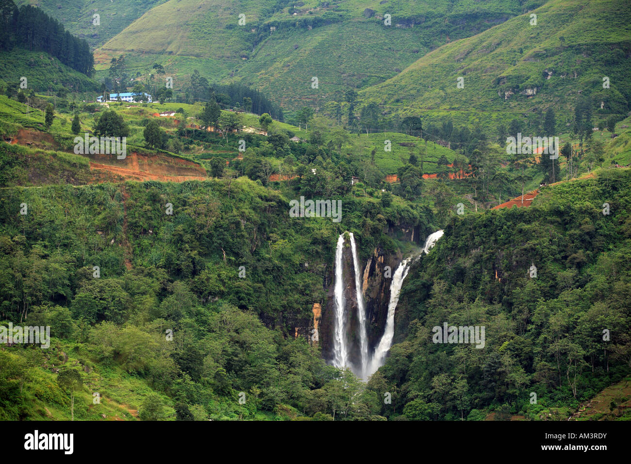 A tea plantation set above one of Sri Lanka s spectacular waterfalls in ...
