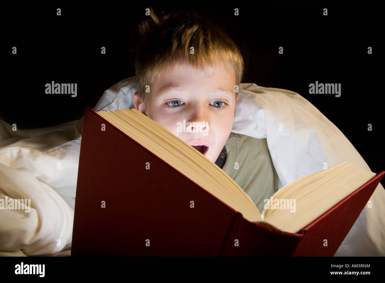 boy reading under duvet by torchlight Stock Photo - Alamy