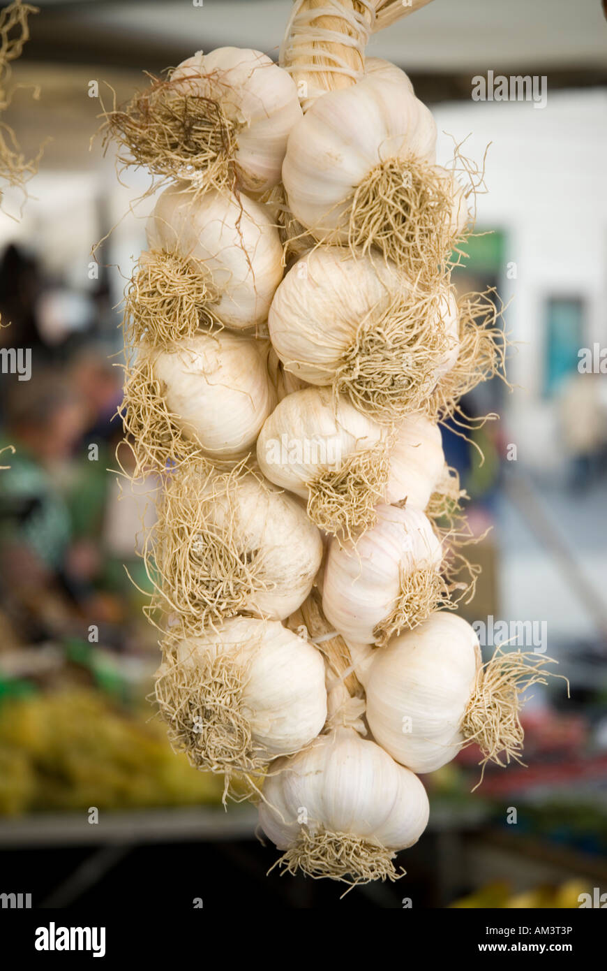 Garlic for sale in a market in Italy Stock Photo - Alamy