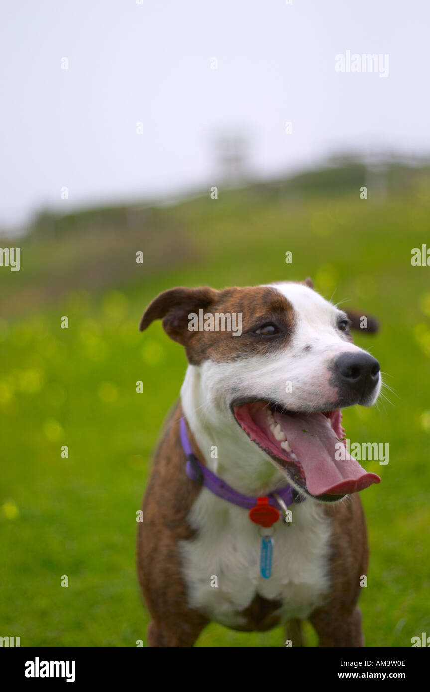 Happy AM Staff Portrait Stock Photo - Alamy