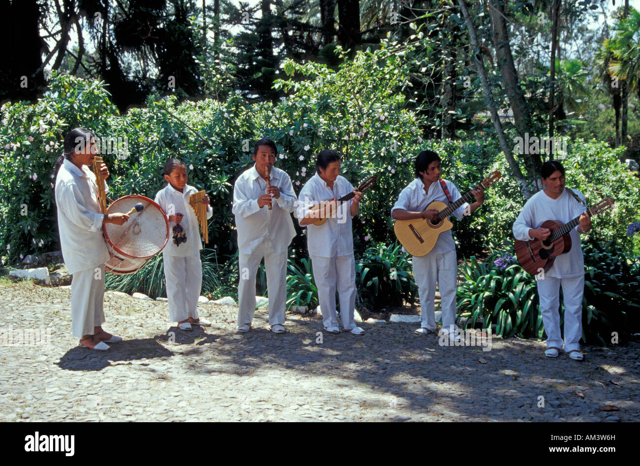Traditional Ecuadorean musical group performing musica folklorica in ...