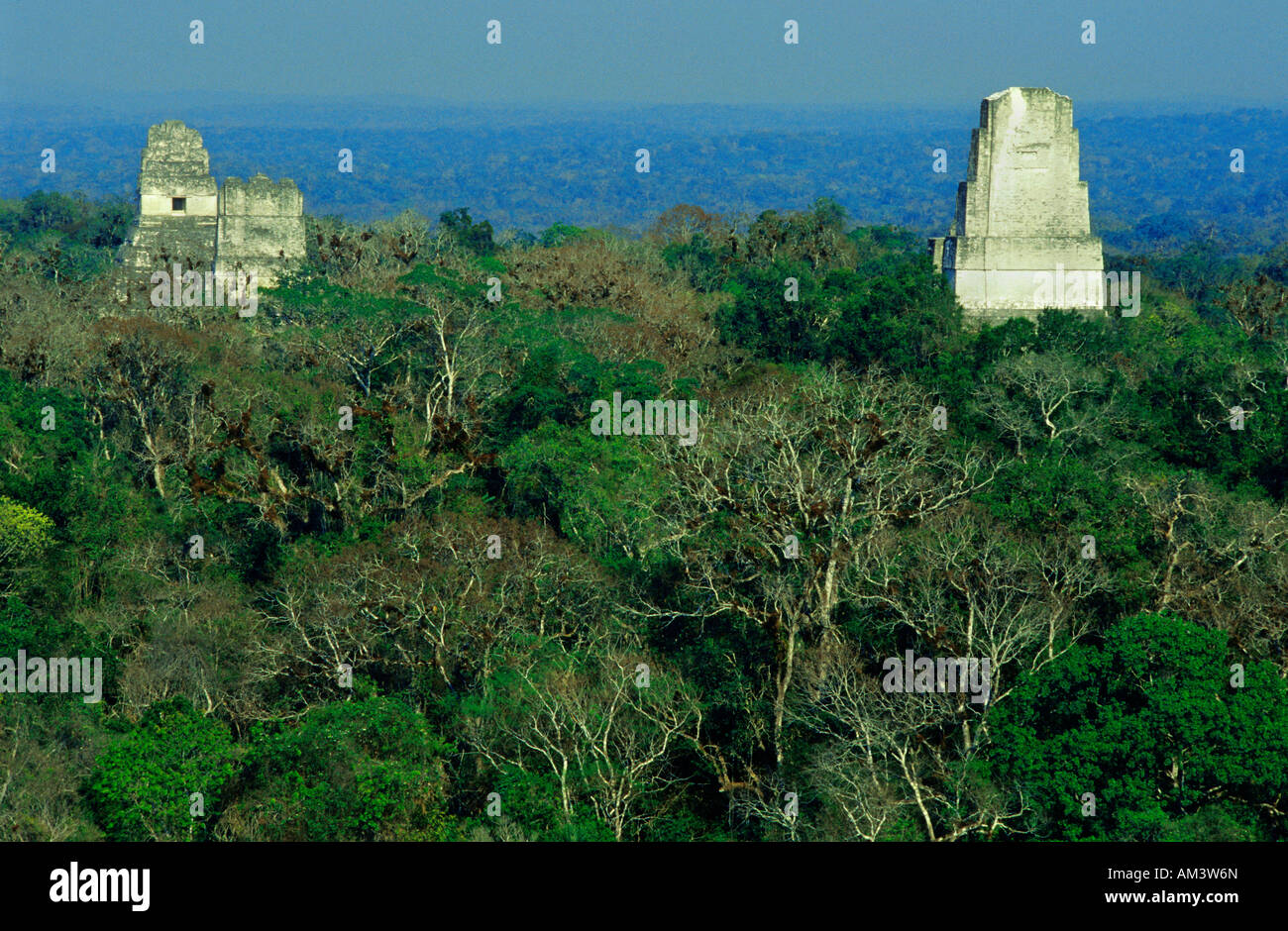 View of temples I,II and III, from temple IV. Mayan ruins of Tikal ...