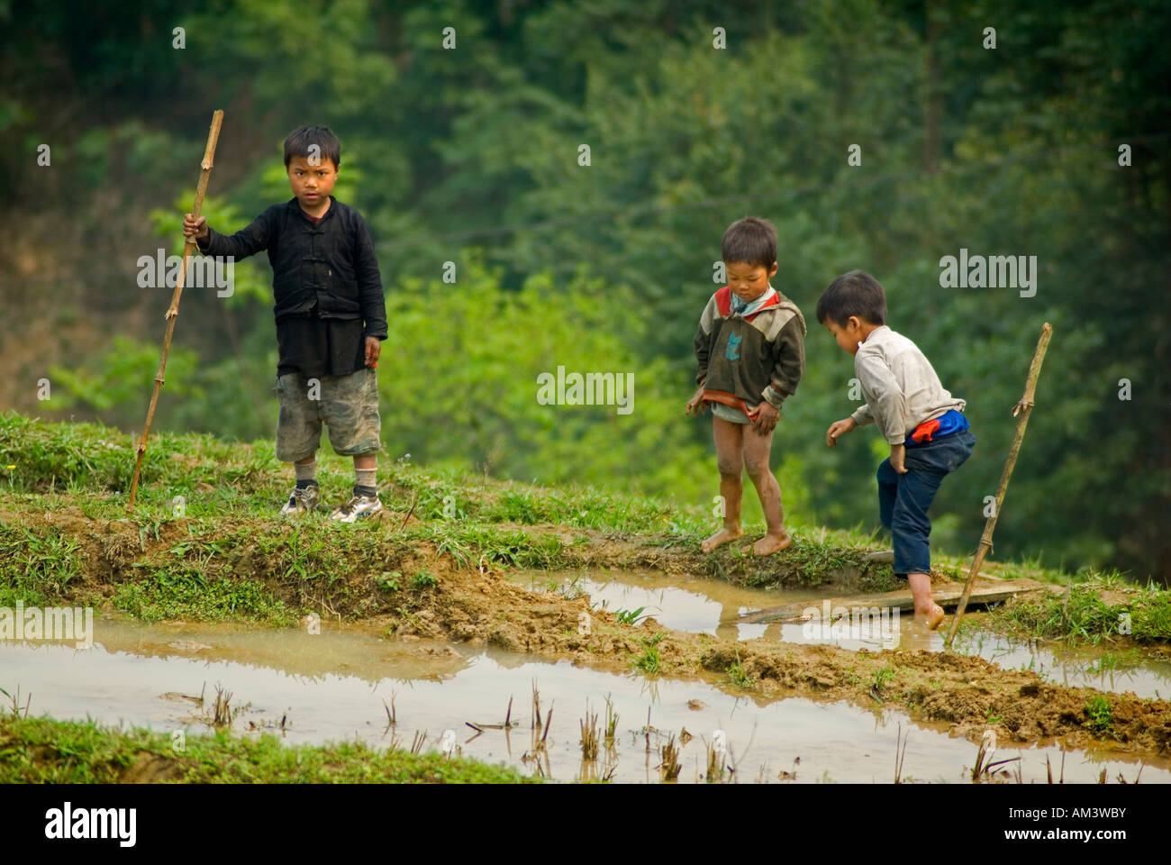 Hill Tribe Children, Sapa, Vietnam, Asia Stock Photo - Alamy